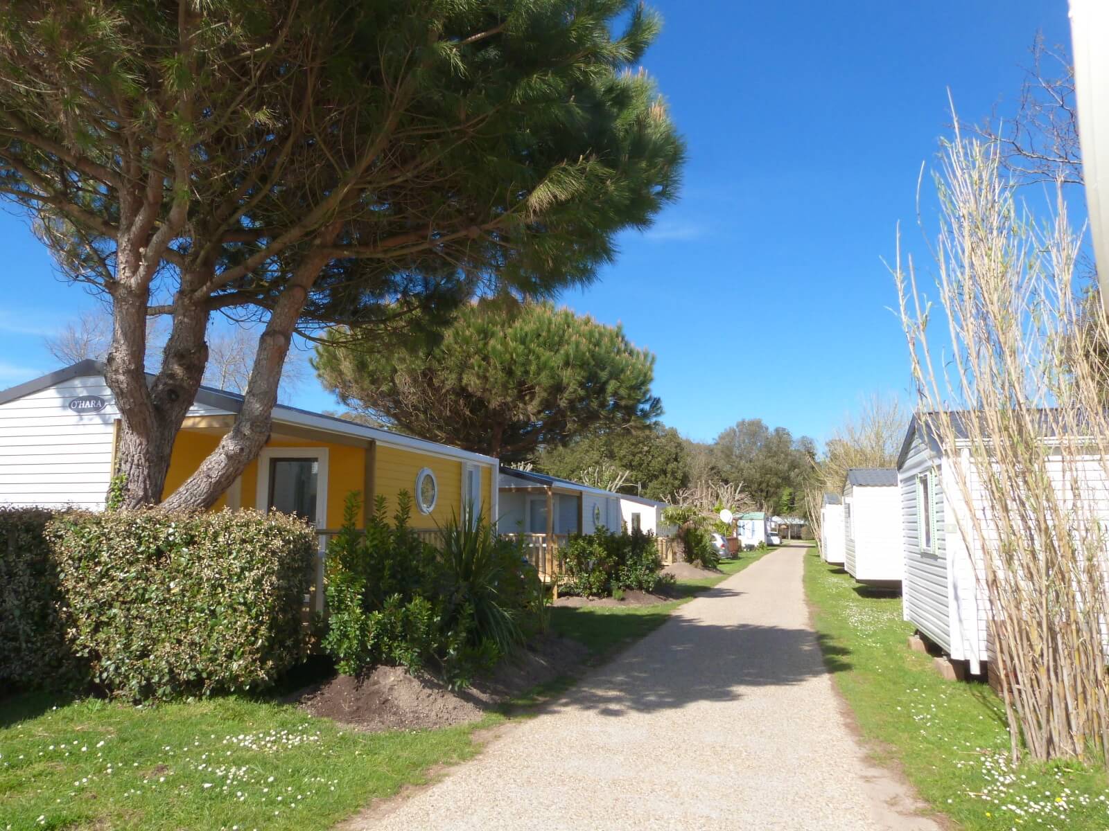 Camping Royan bord de mer | Camping à Royan en Charente Maritime